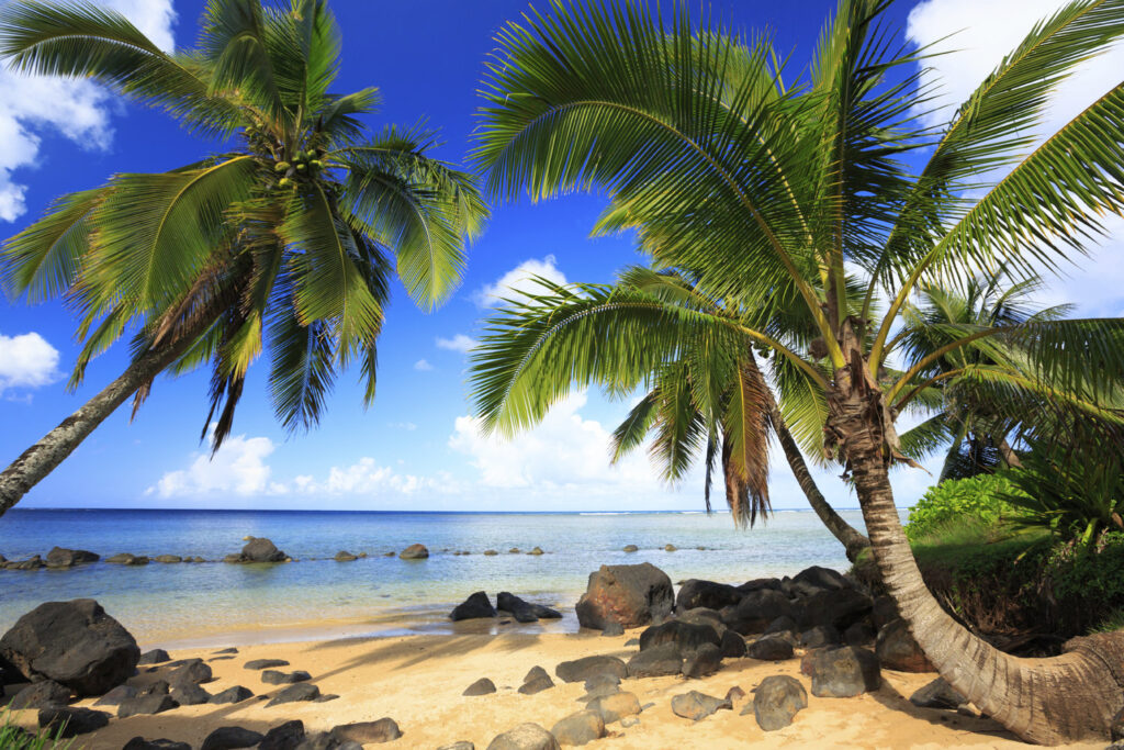 Escape The Winter – Hawaii Offers Warmer Temperatures